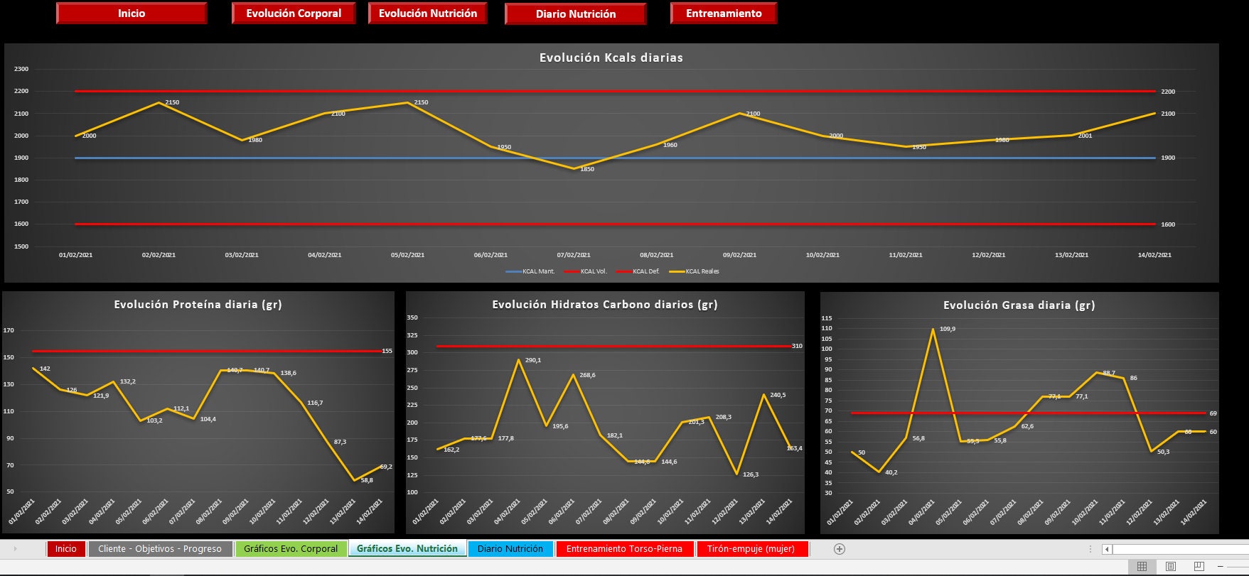 Personal Trainer Excel Template. Includes Training and Nutrition ...