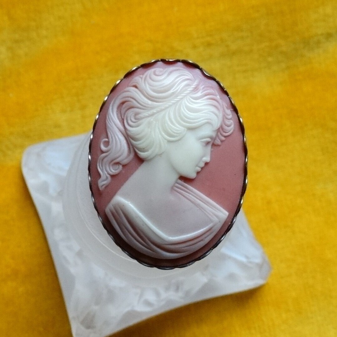 Cameo Brooch/mid Century Facsimile Shell Brooch/1950s Plastic Cameo Pin ...