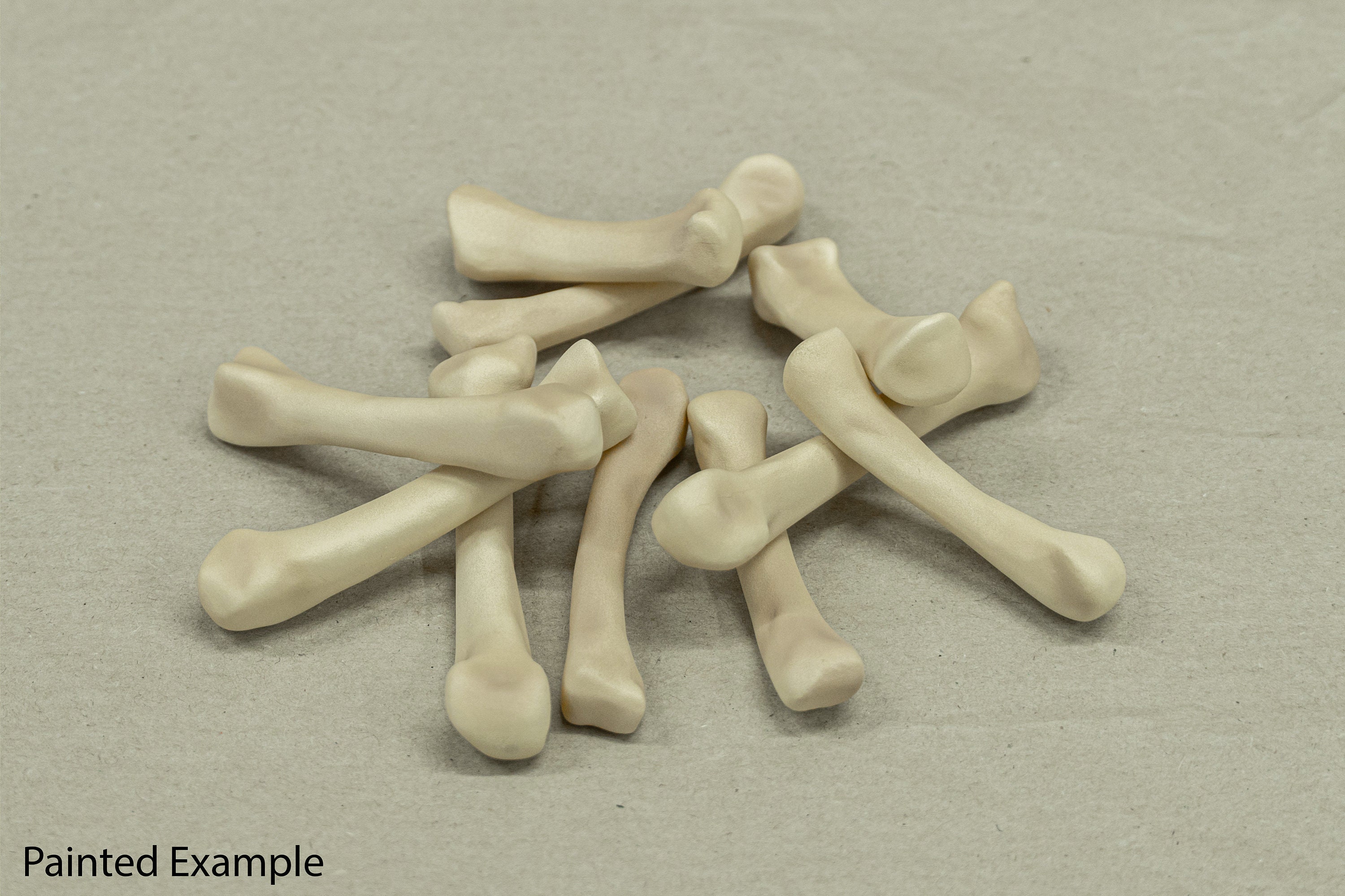 Cosplay Bones Resin Cast Metacarpal Bone - Etsy