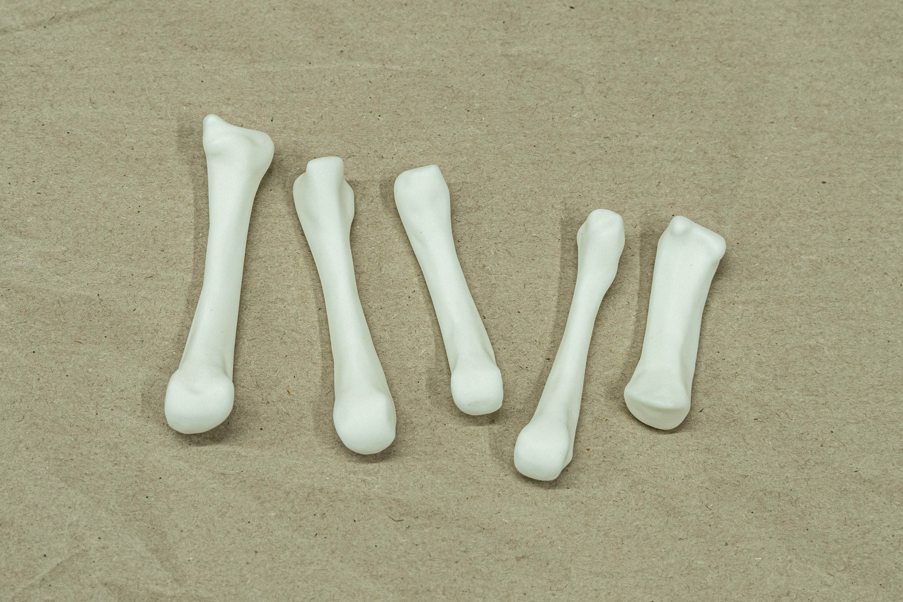 Cosplay Bones Resin Cast Metacarpal Bone - Etsy