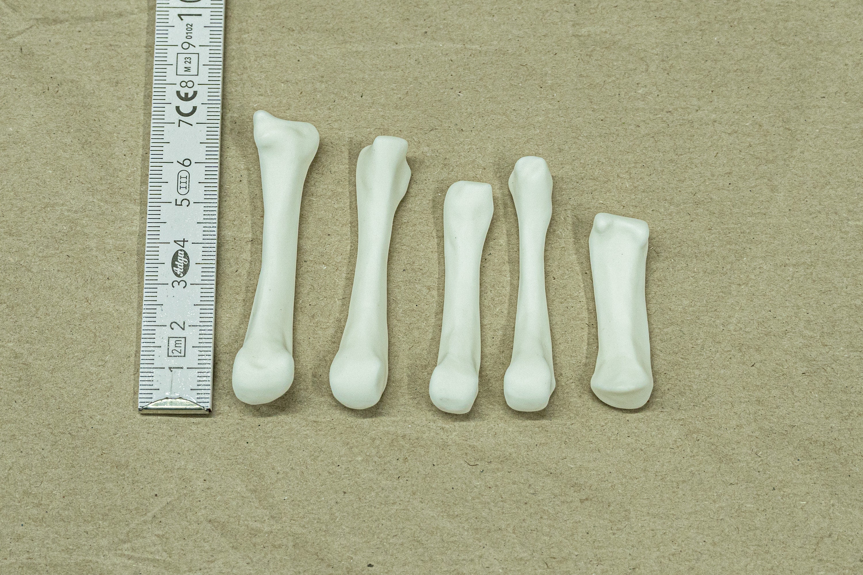 Cosplay Bones Resin Cast Metacarpal Bone - Etsy