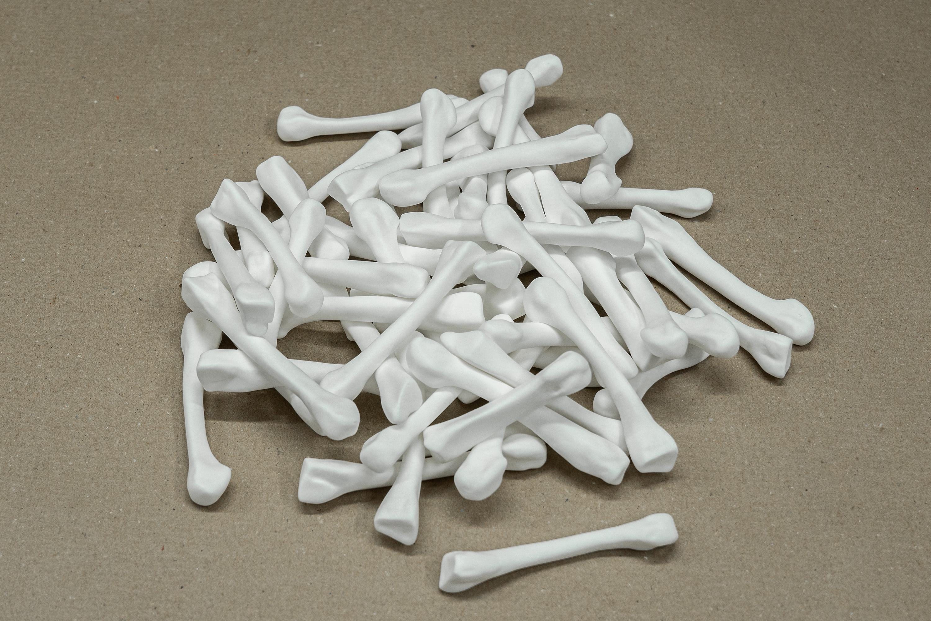 Cosplay Bones - Resin Cast Metatarsal Bones - Etsy