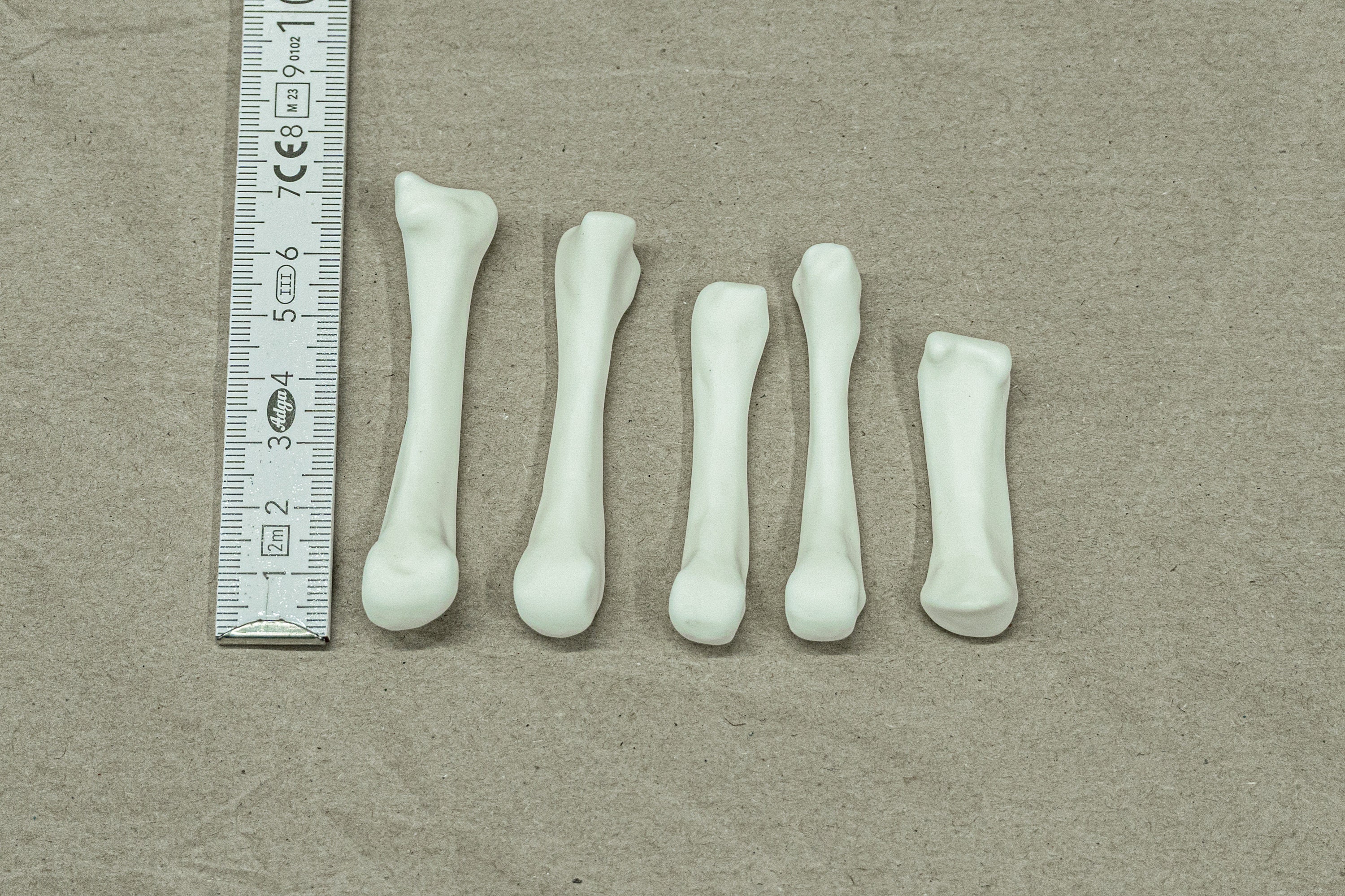 Cosplay Bones - Resin Cast Metacarpal Bone - Etsy