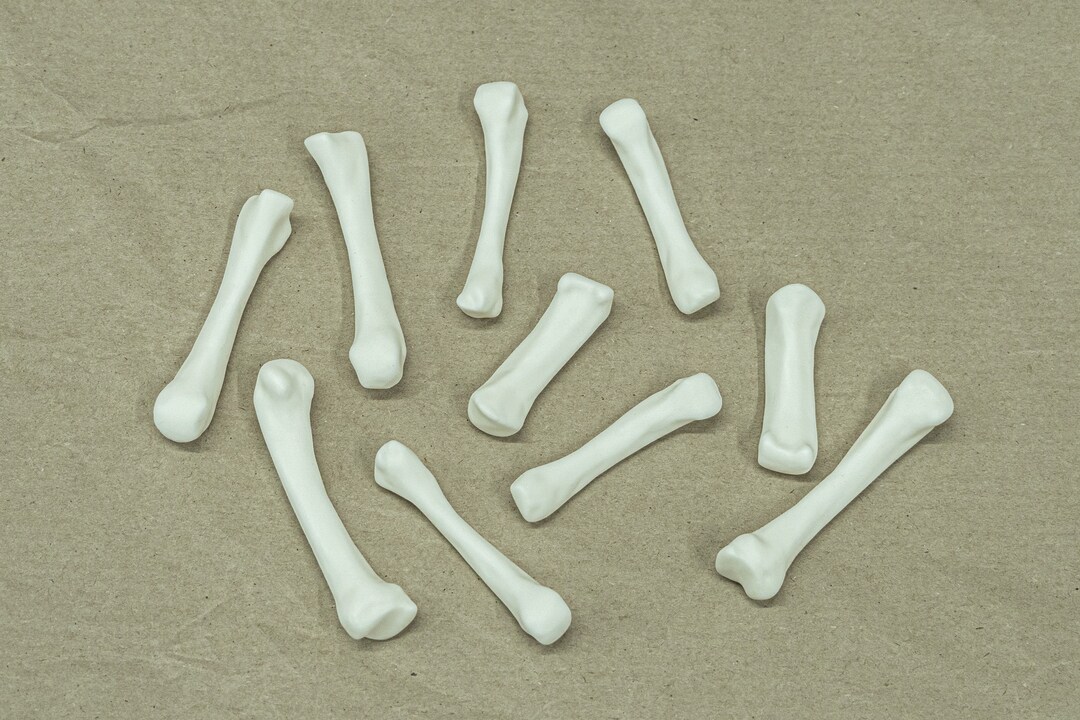 Cosplay Bones Resin Cast Metacarpal Bone - Etsy