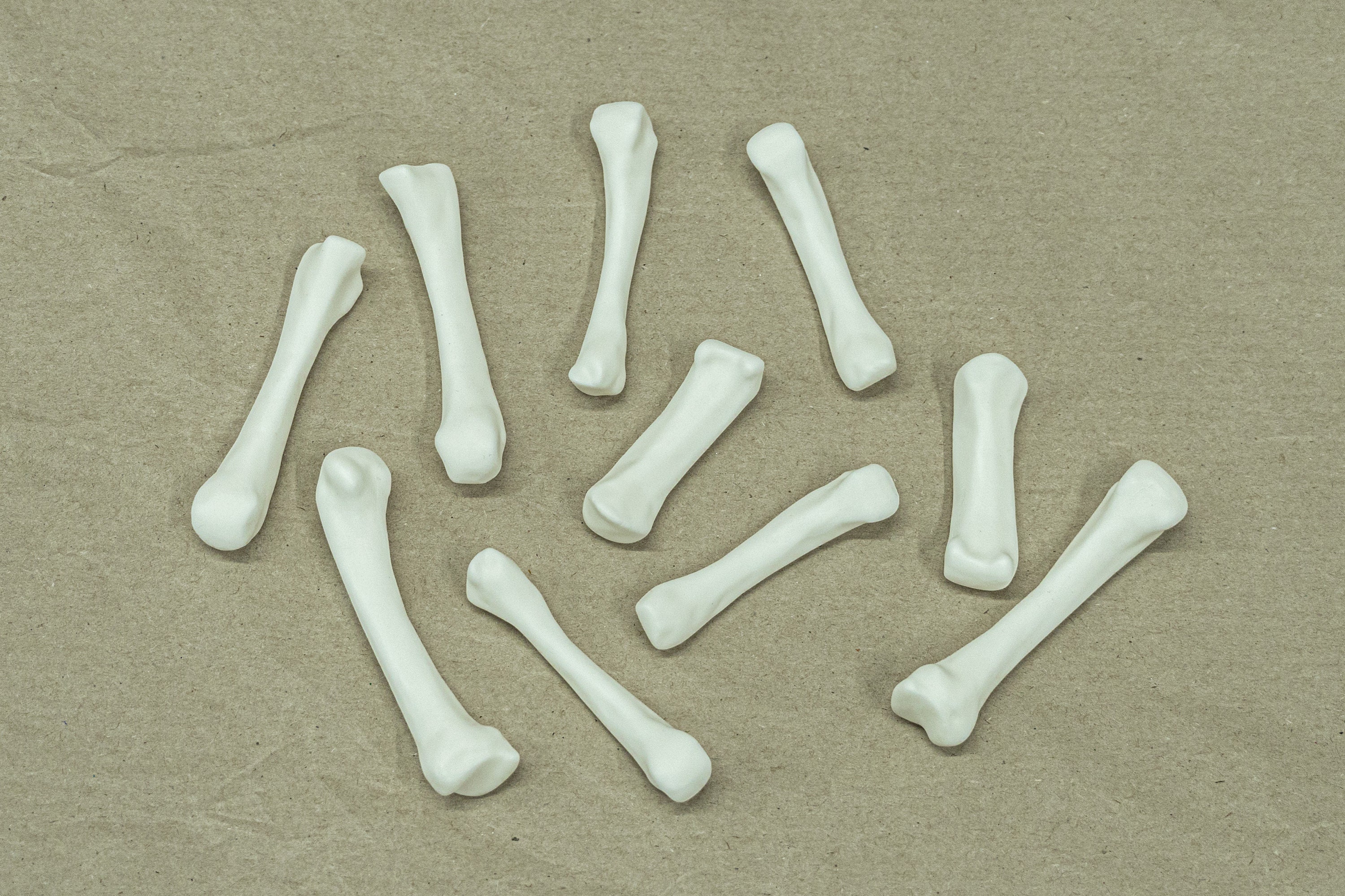 Cosplay Bones Resin Cast Metacarpal Bone - Etsy