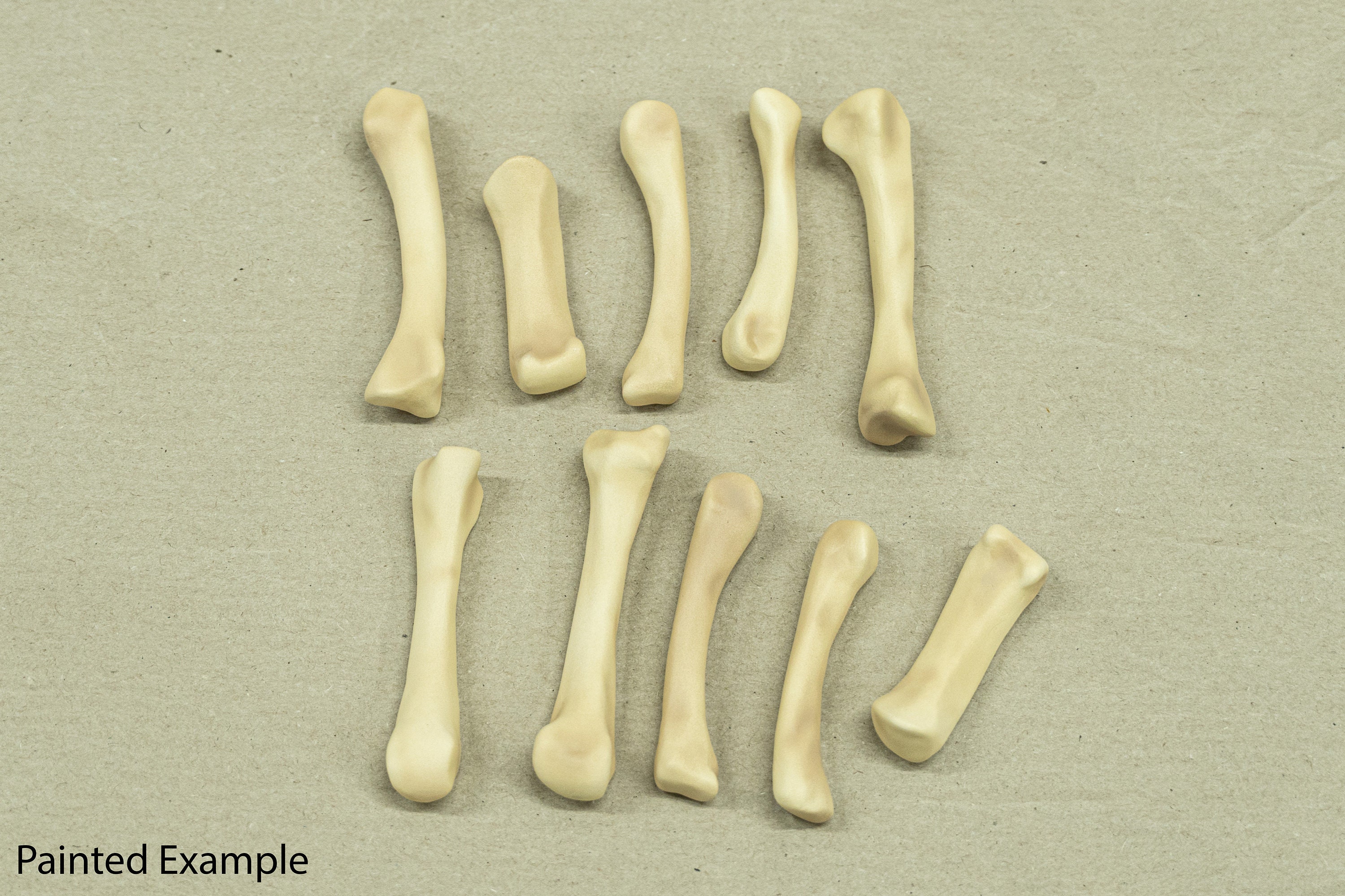 Cosplay Bones Resin Cast Metacarpal Bone - Etsy