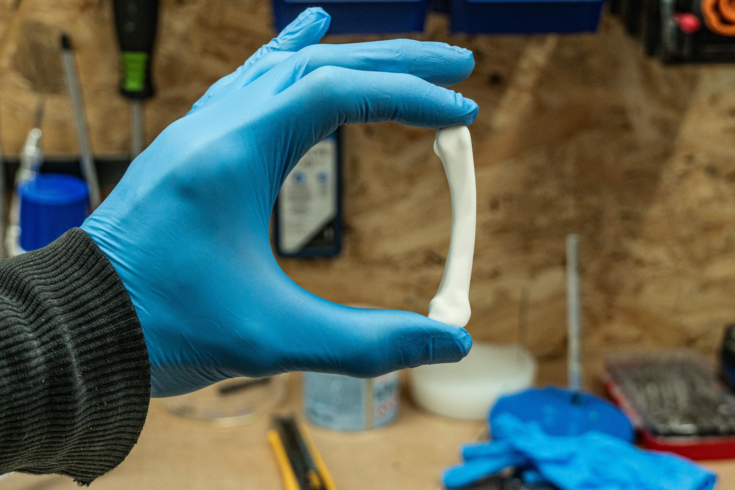 Cosplay Bones Resin Cast Metacarpal Bone - Etsy