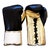 Custom Made No Boxing No Life Boxing Gloves, With or Without CA Logo ...