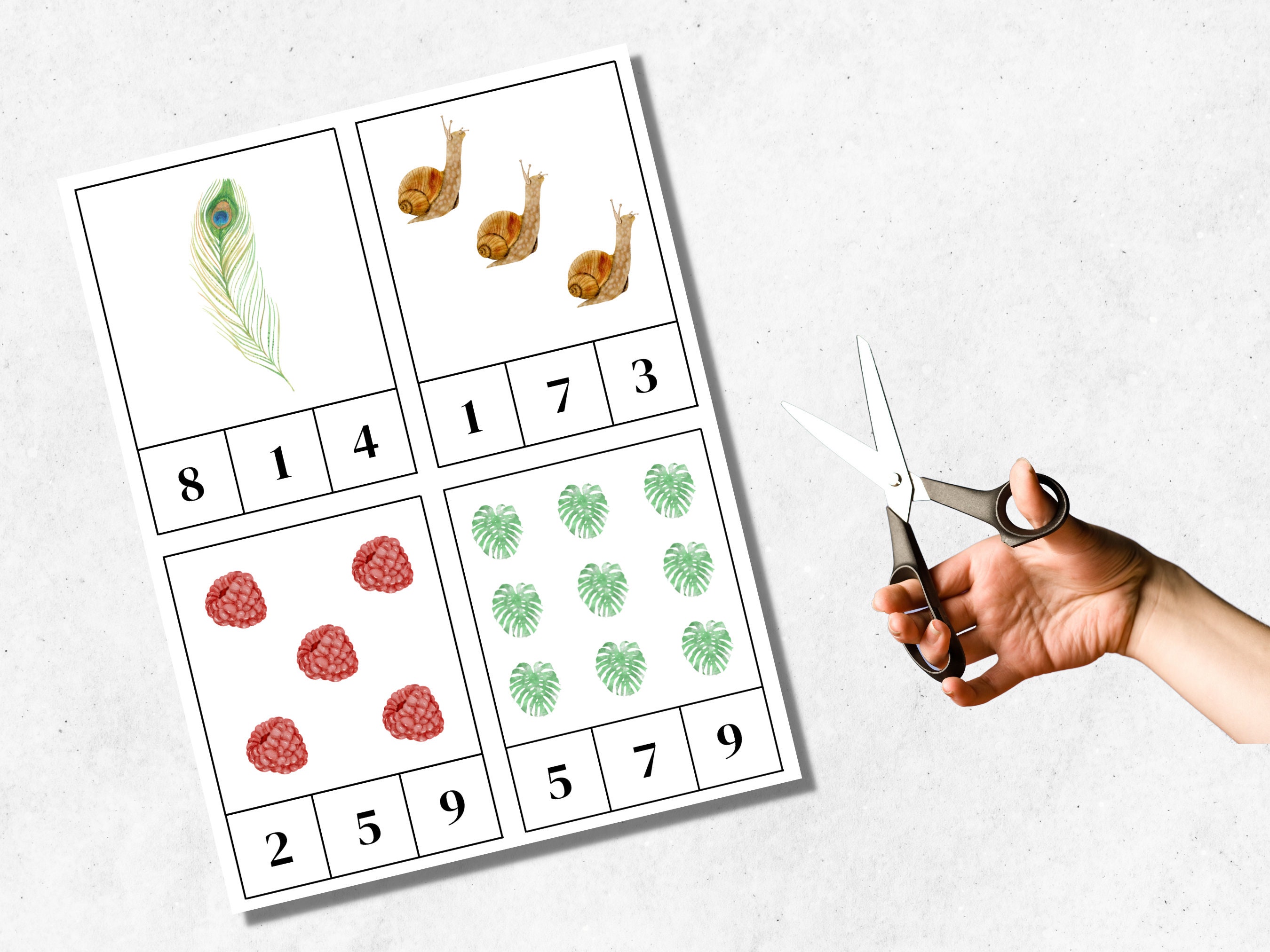 Nature Themed Montessori Counting Cards, Preschool Counting Activity ...