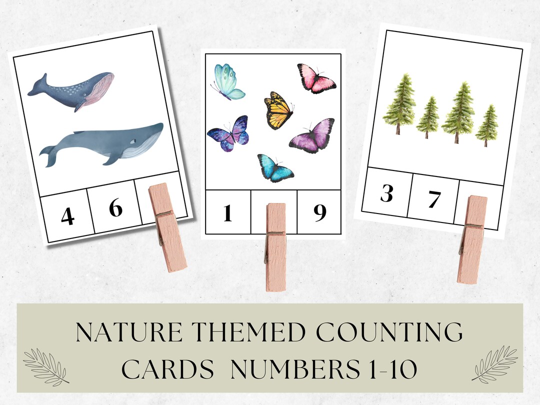 Nature Themed Montessori Counting Cards, Preschool Counting Activity ...