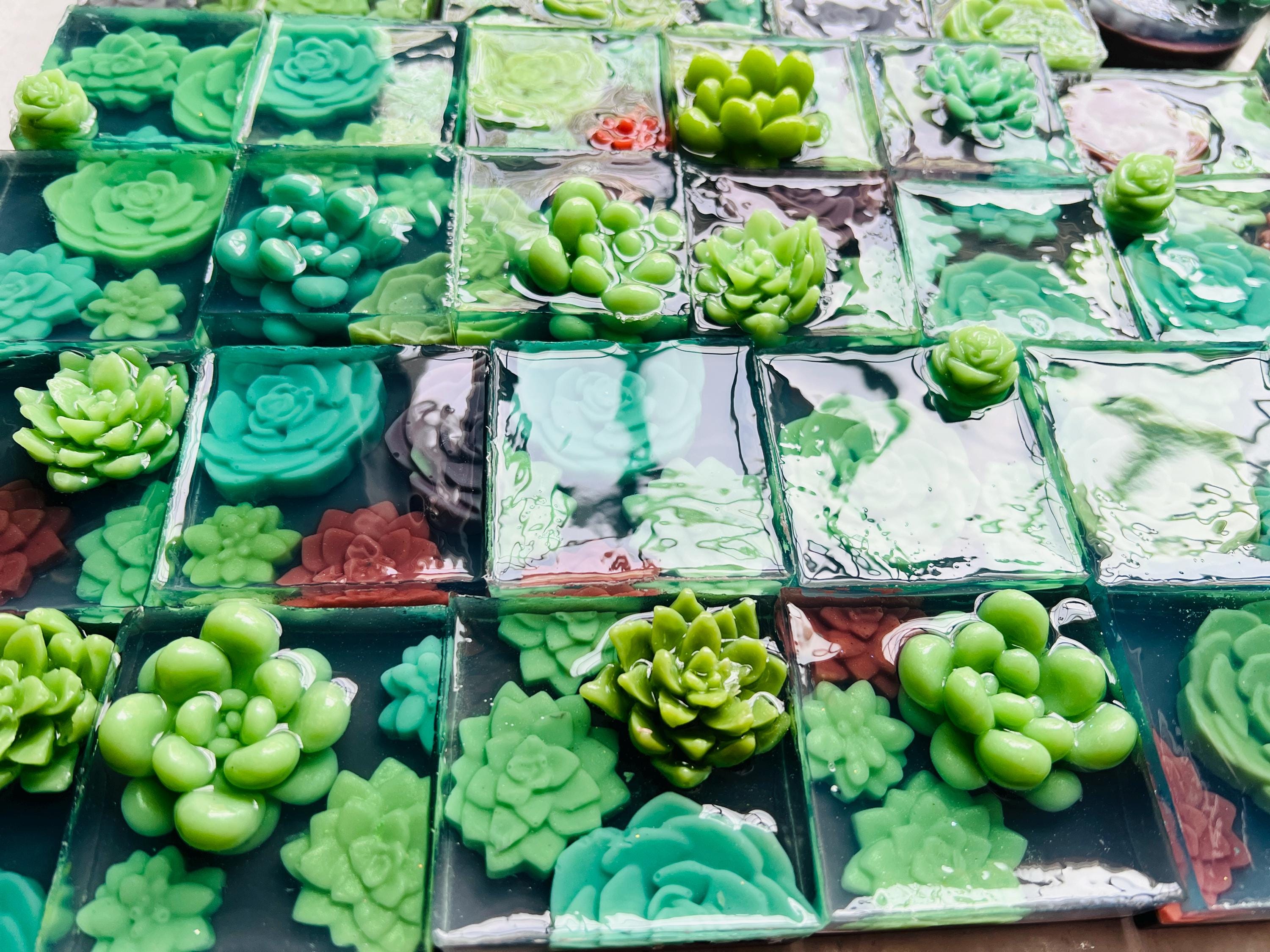 Succulent Soap | Plant Soap | Plant Lover Gifts | All Natural Soap ...