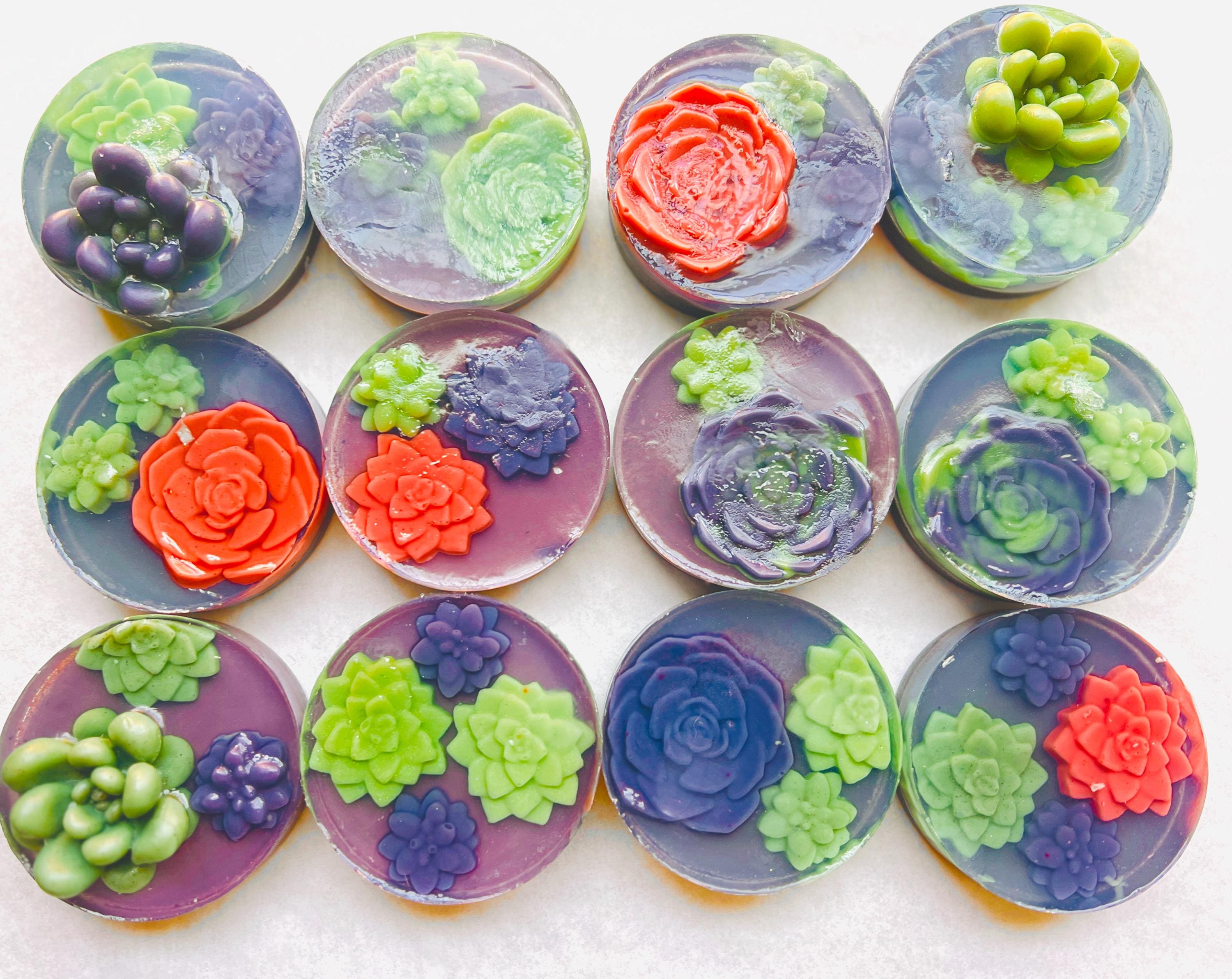 Succulent Soap | Plant Soap | Plant Lover Gifts | All Natural Soap ...