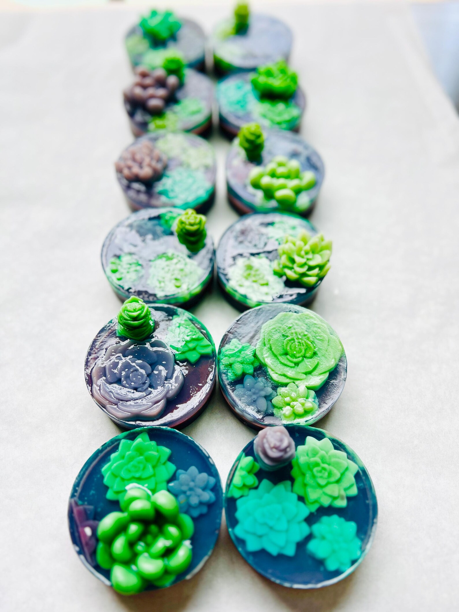 Succulent Soap | Plant Soap | Plant Lover Gifts | All Natural Soap ...