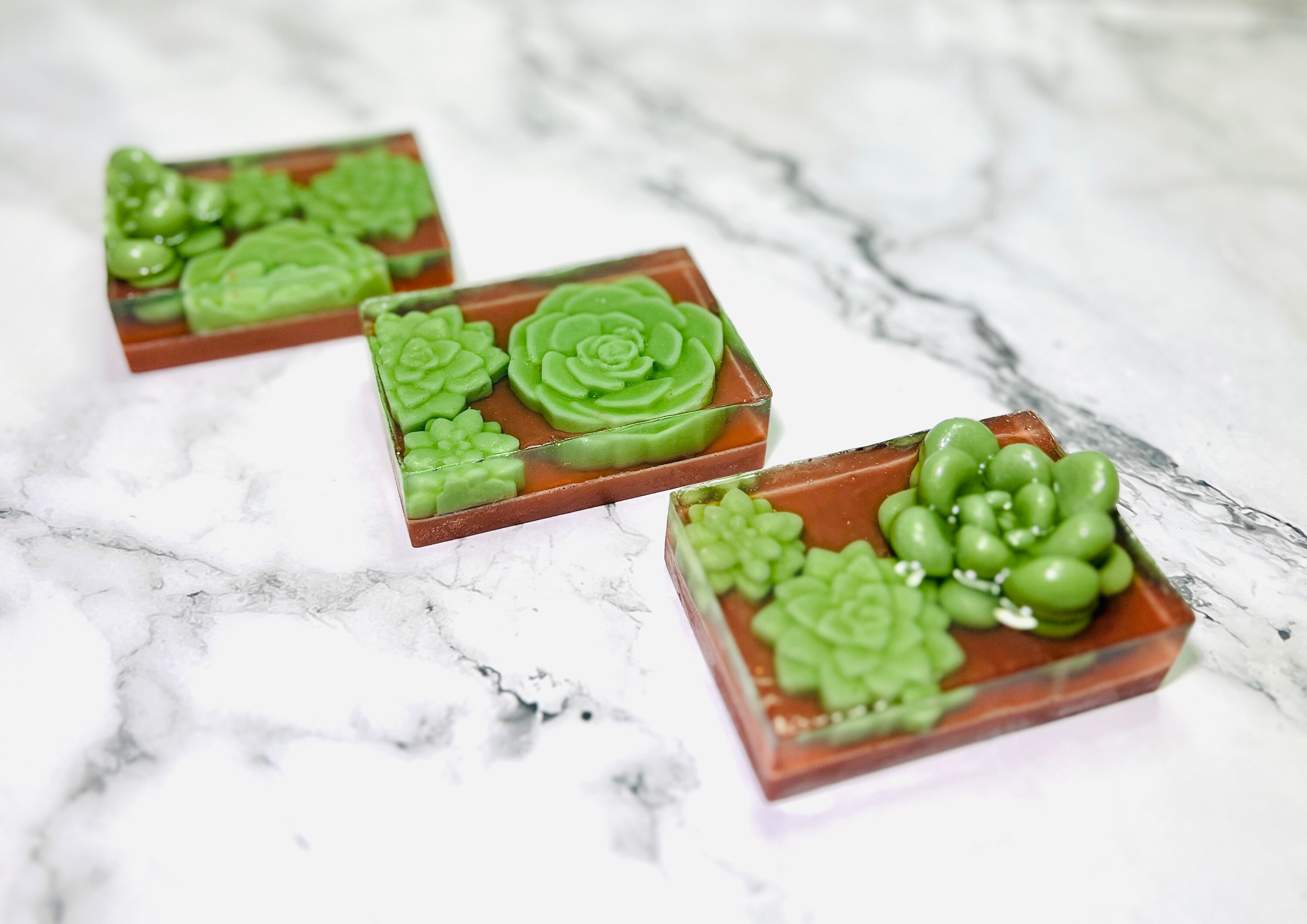 Succulent Soap | Plant Soap | Plant Lover Gifts | All Natural Soap ...