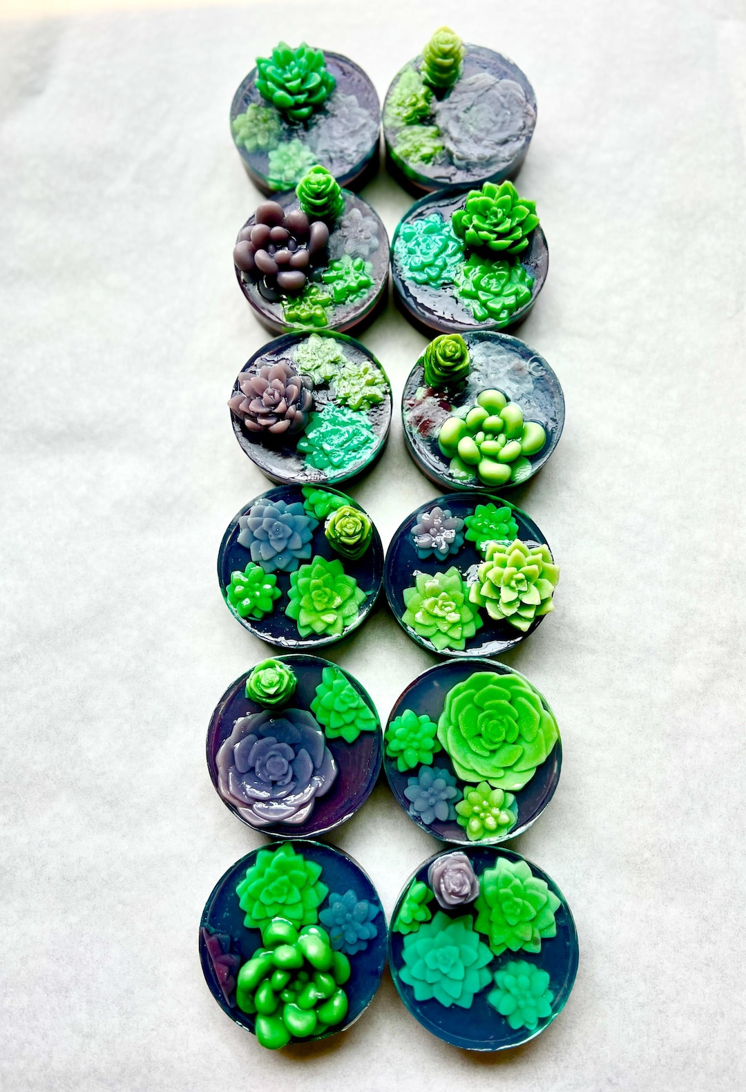 Succulent Soap | Plant Soap | Plant Lover Gifts | All Natural Soap ...