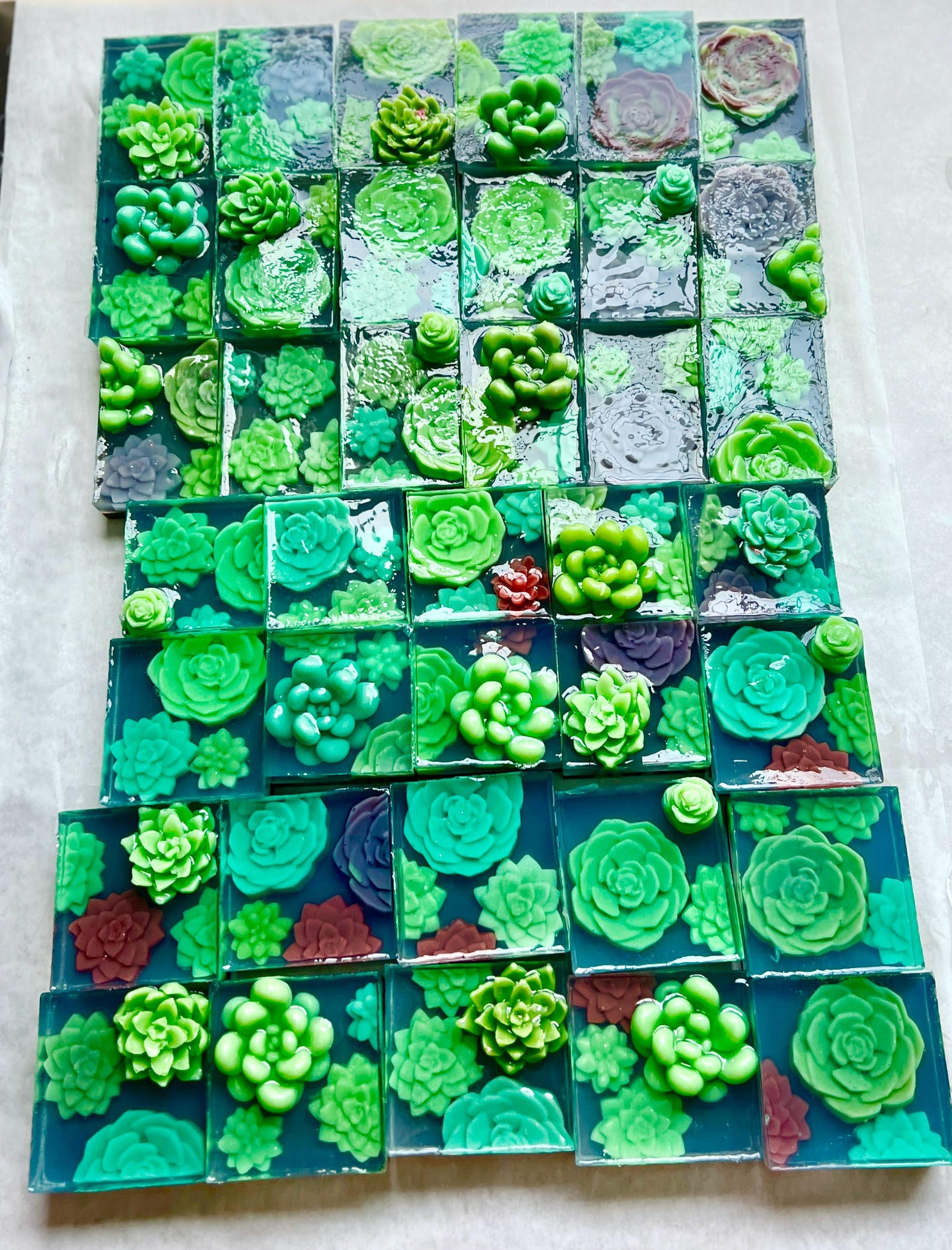 Succulent Soap | Plant Soap | Plant Lover Gifts | All Natural Soap ...