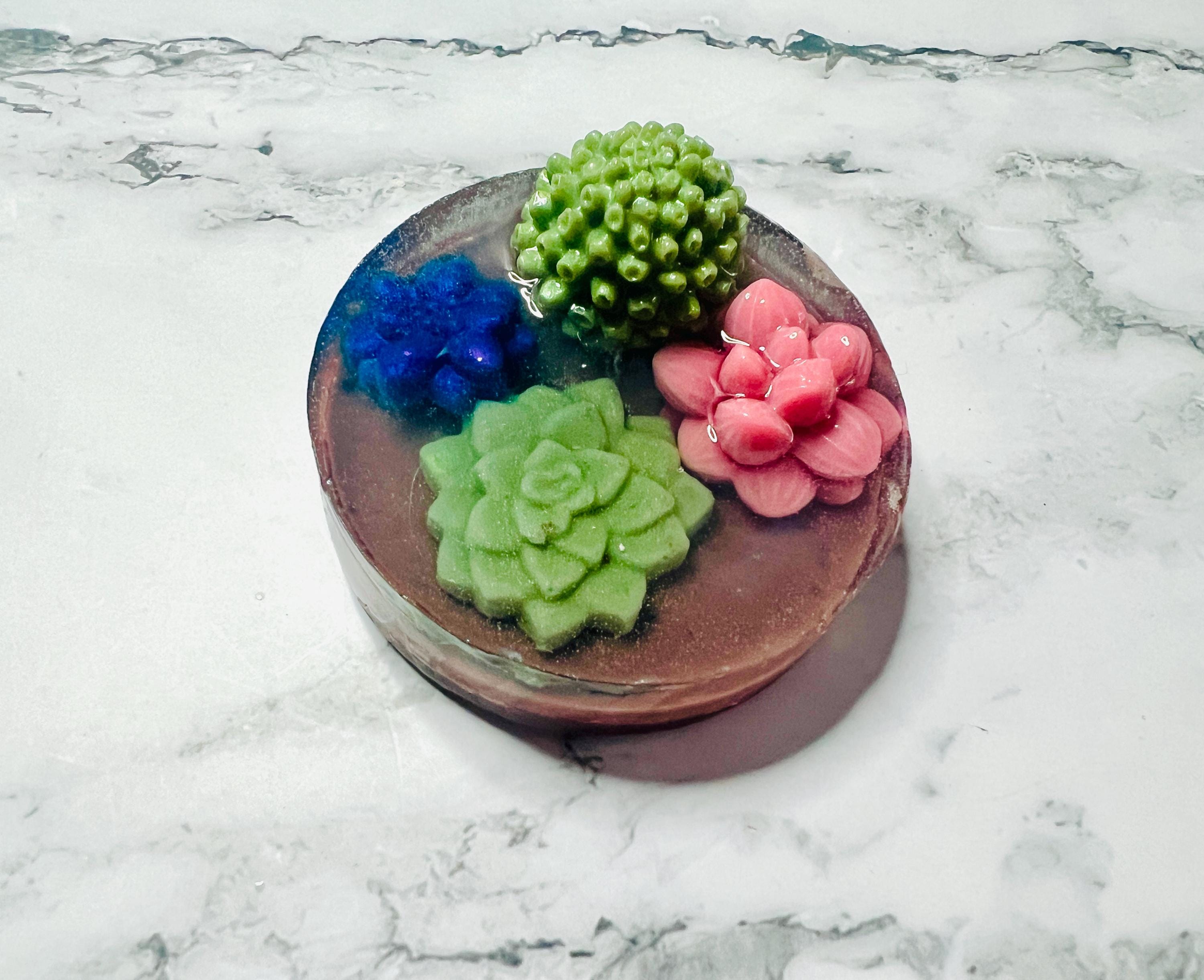 Succulent Soap | Plant Soap | Plant Lover Gifts | All Natural Soap ...