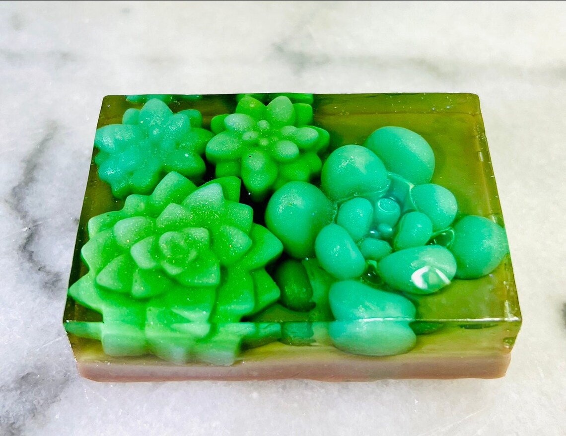 Succulent Soap | Plant Soap | Plant Lover Gifts | All Natural Soap ...