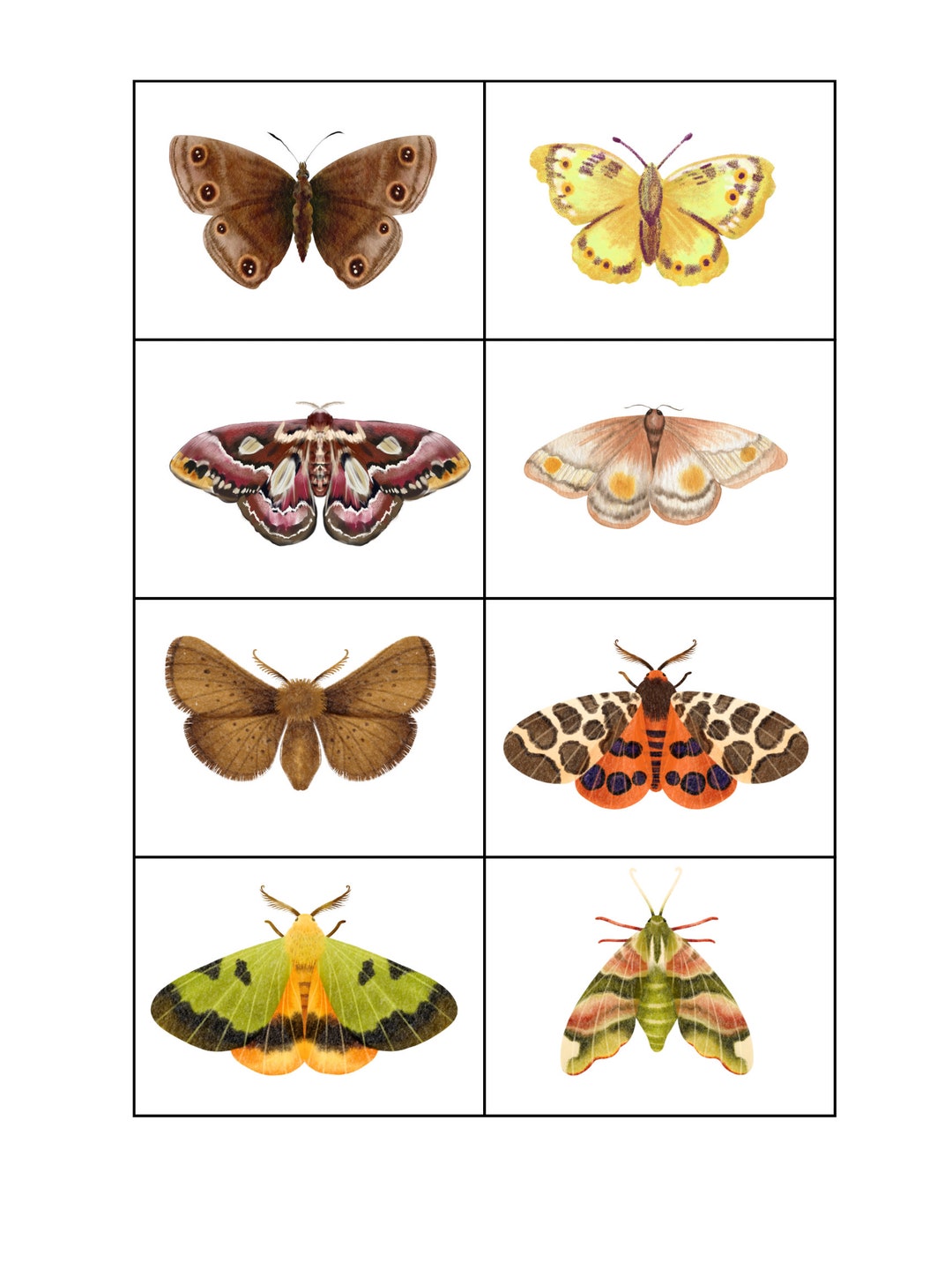 Moth Matching & Count and Clip Cards - Etsy