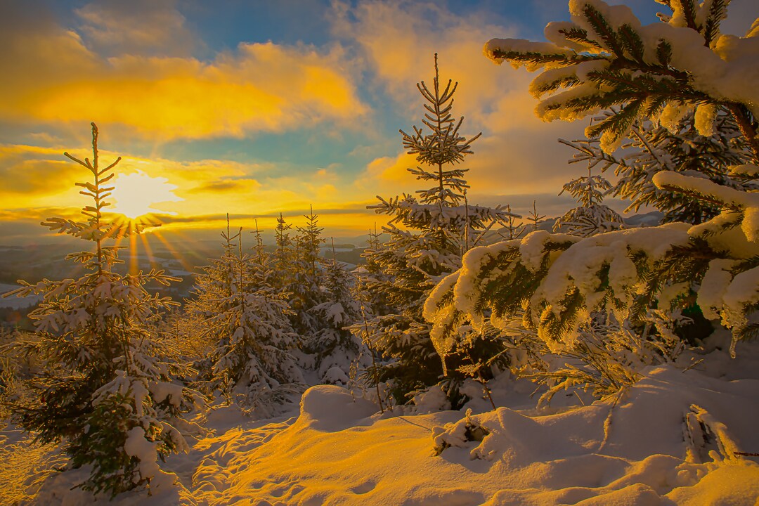 Stunning Sunset on Snowfield With Pine Trees Photo for Colorful Wall ...