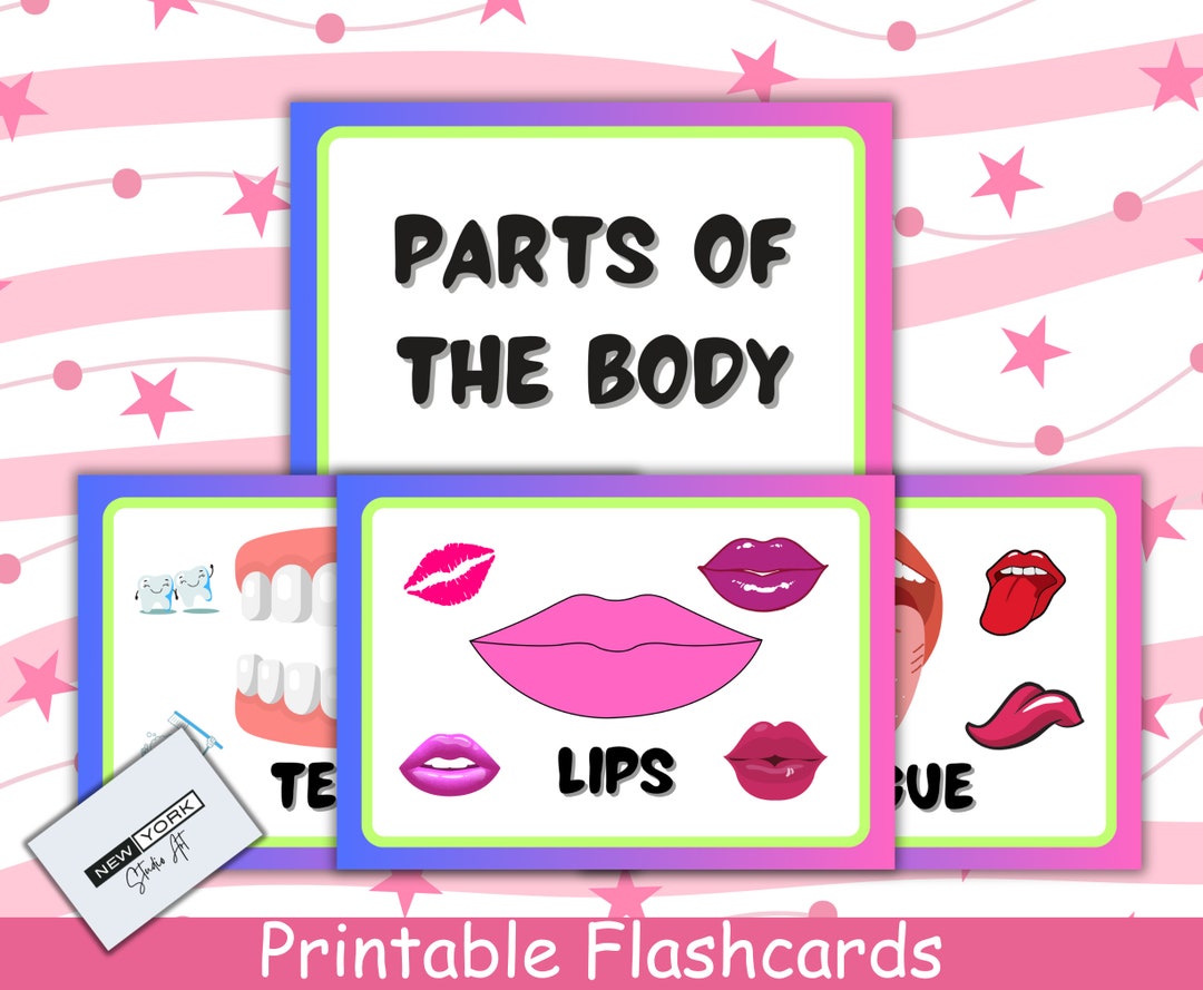 20 Printable Flashcards of Human Body Parts for Kids Instant - Etsy UK