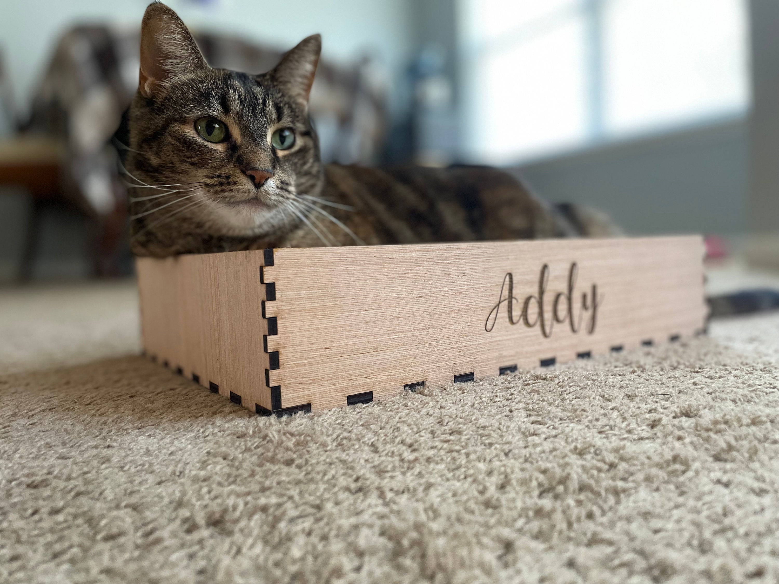 Personalized Cat Box Cat Trap Cat Bed - Etsy