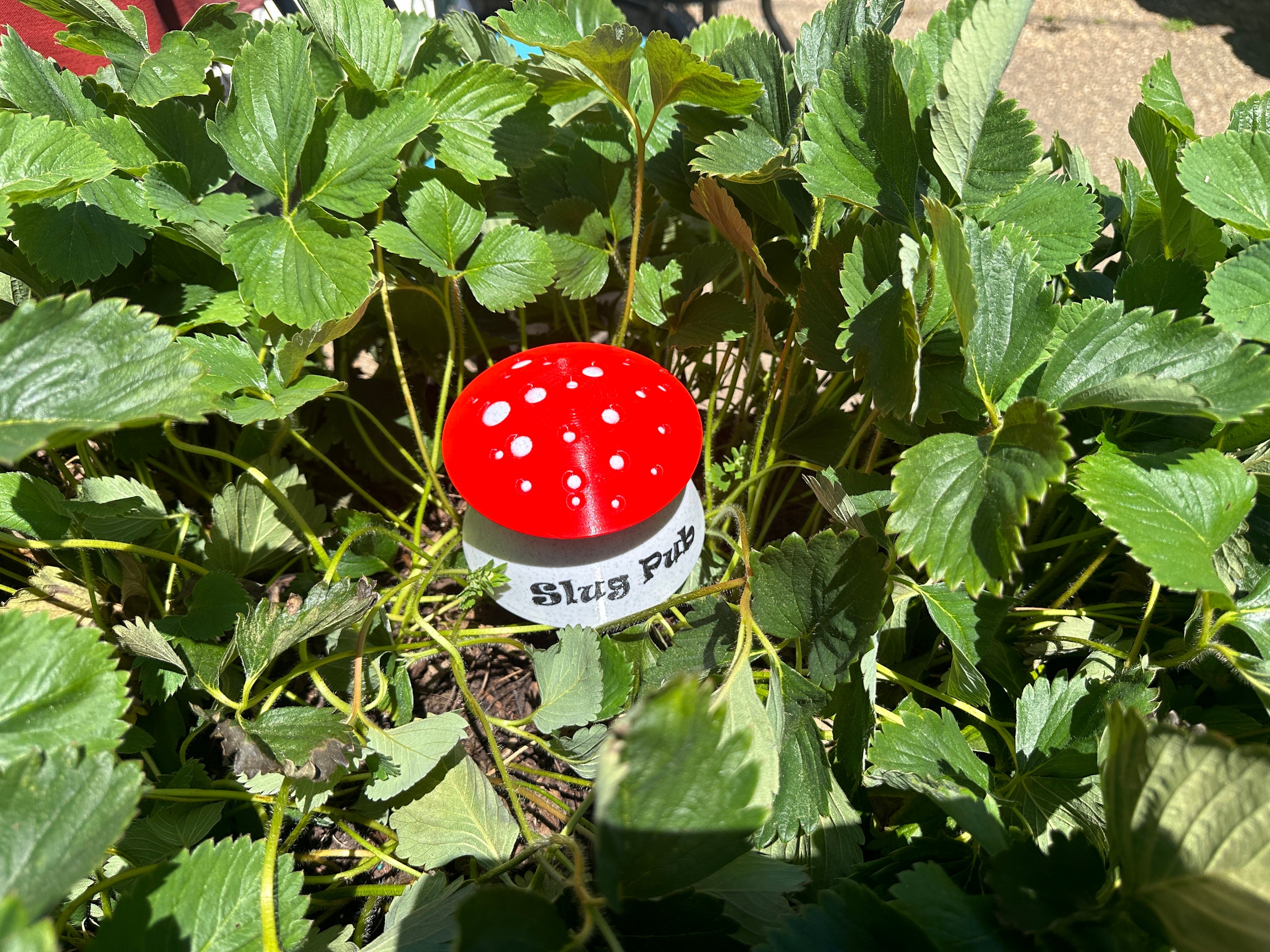 Slug Pub, Slug Trap - Etsy