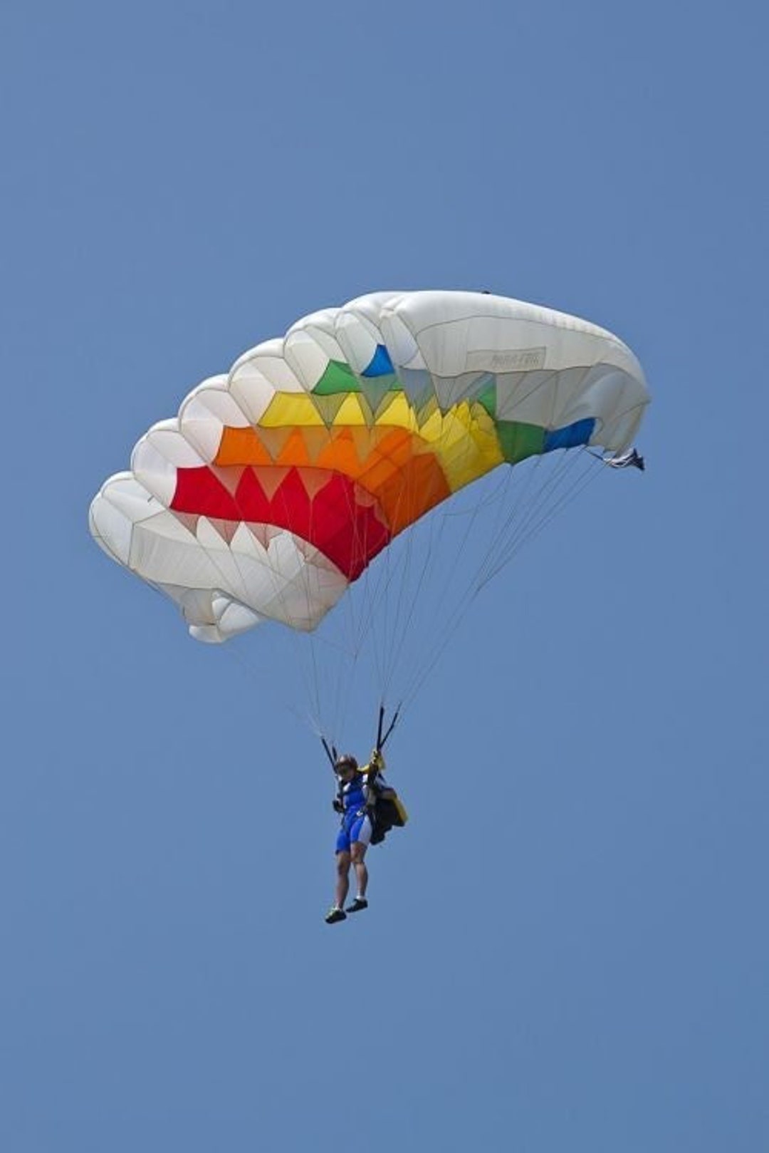 Safari Ltd Toob in the Sky Nomenclature - Etsy