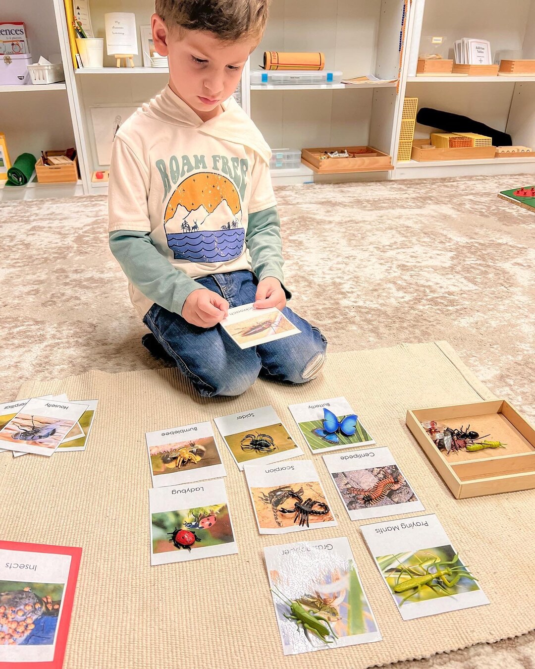 Safari Ltd Toob Insect Nomenclature - Etsy