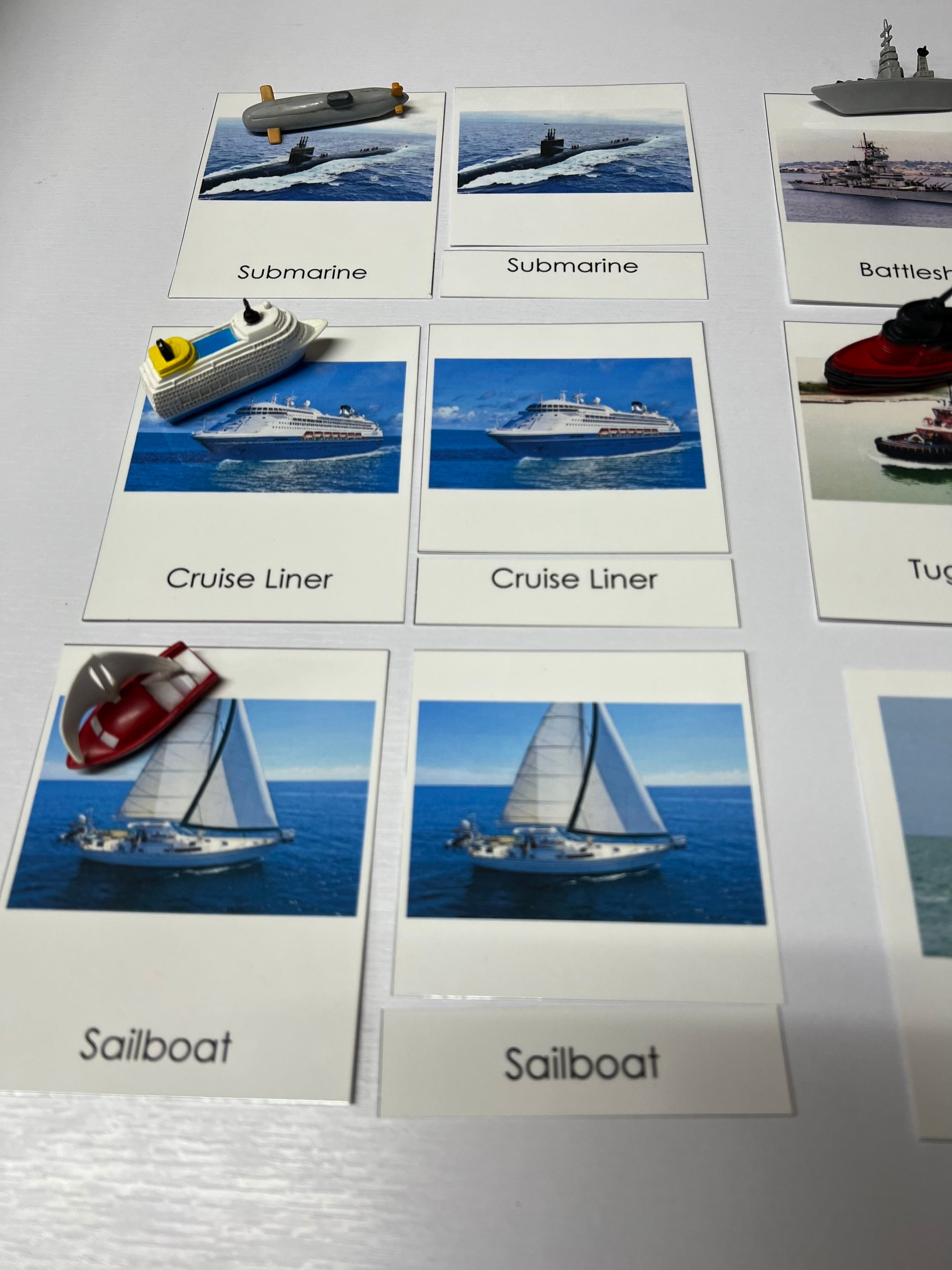 Safari Ltd Toob in the Water Nomenclature - Etsy