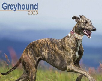 Greyhound Calendar - Etsy