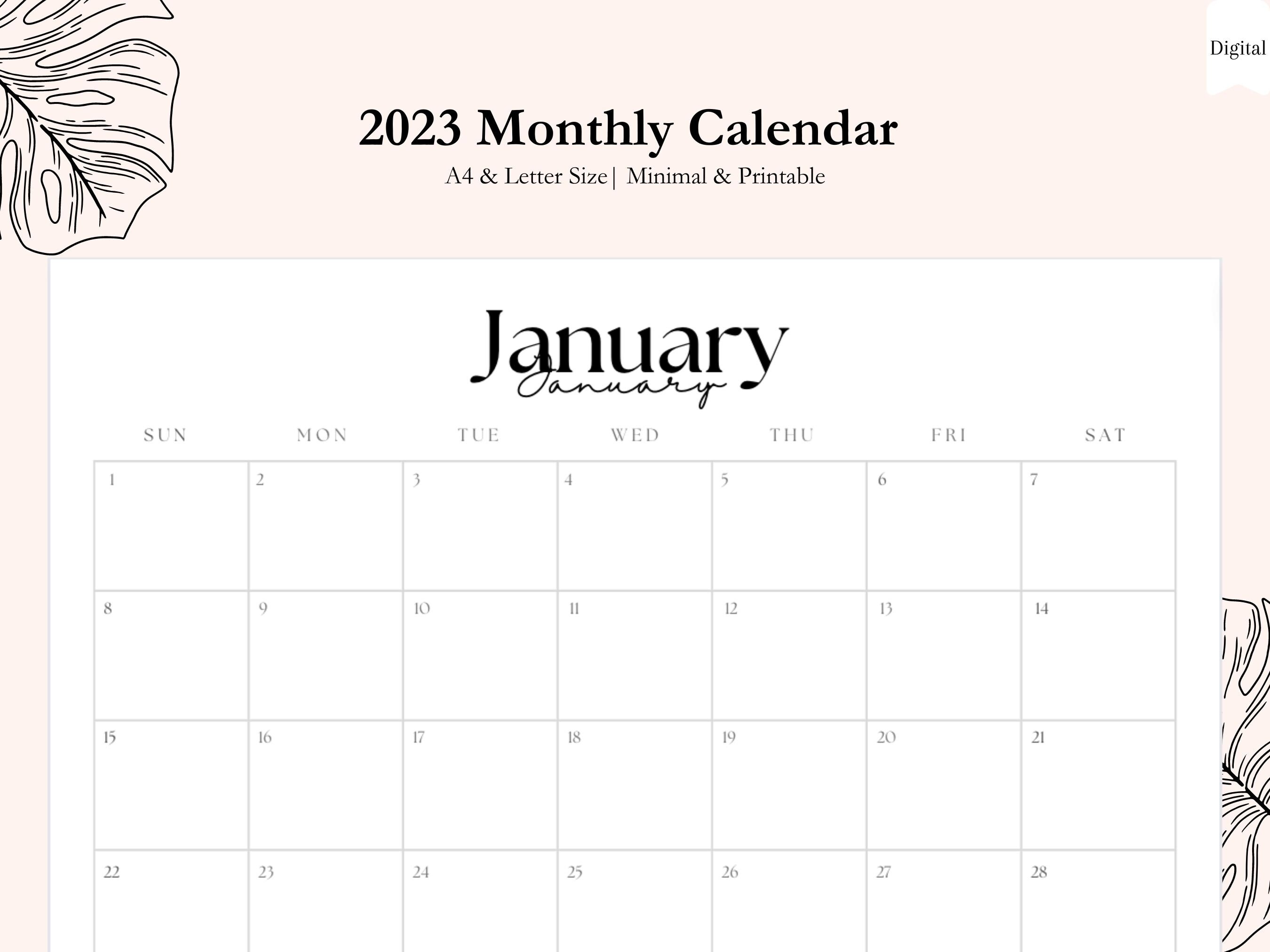 2023 Monthly Calendar Horizontal Printable Calendar Template A4 Letter ...