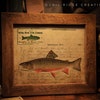 Brook Trout - Side View Freshwater Gamefish Giclee Paper & Aluminum ...