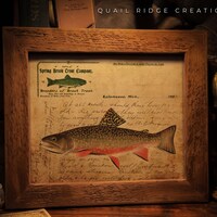 Brook Trout - Side View Freshwater Gamefish Giclee Paper & Aluminum ...