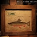 Brook Trout - Side View Freshwater Gamefish Giclee Paper & Aluminum ...