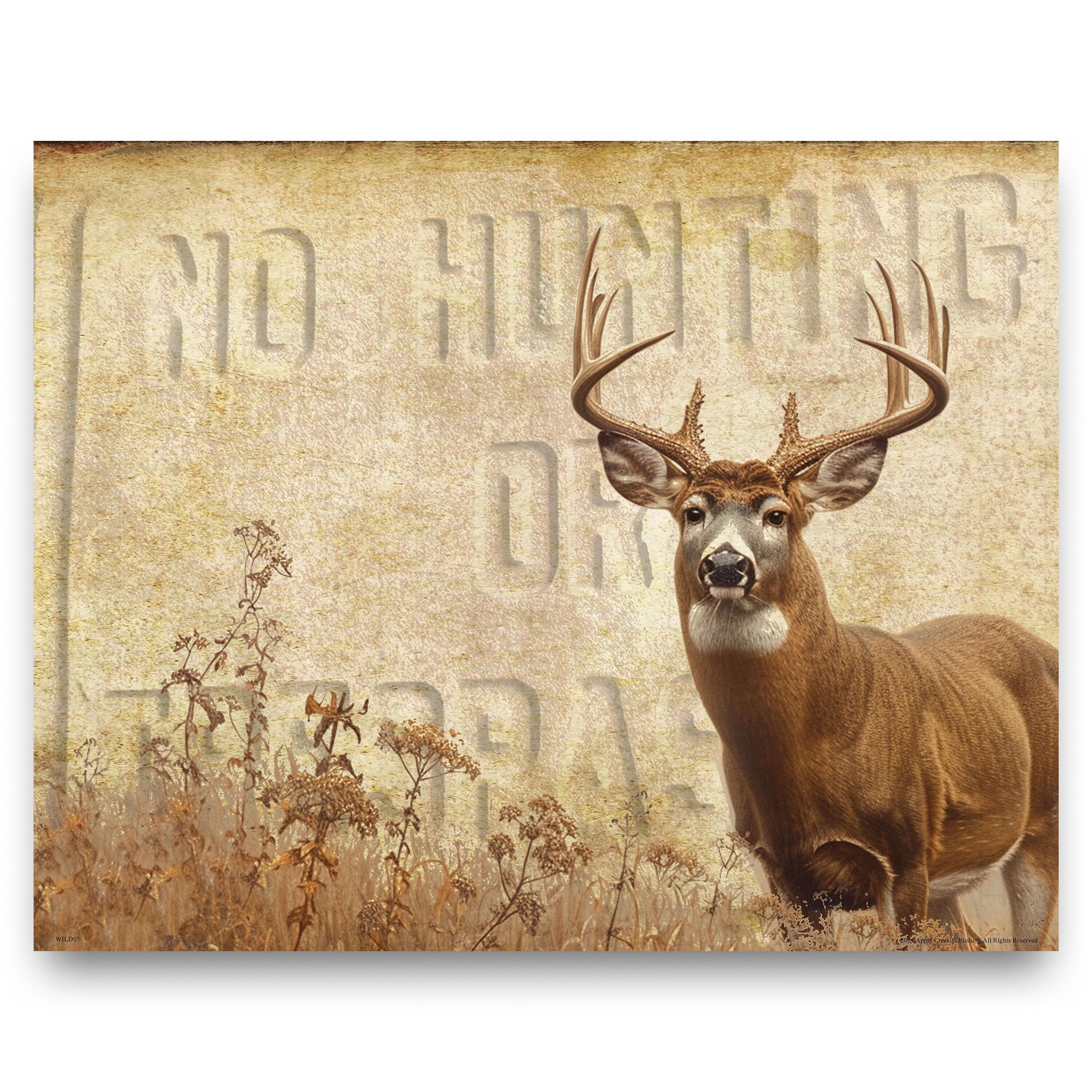 Vintage No Hunting Sign Art Print: Whitetail Deer Cabin Decor (11x14 ...