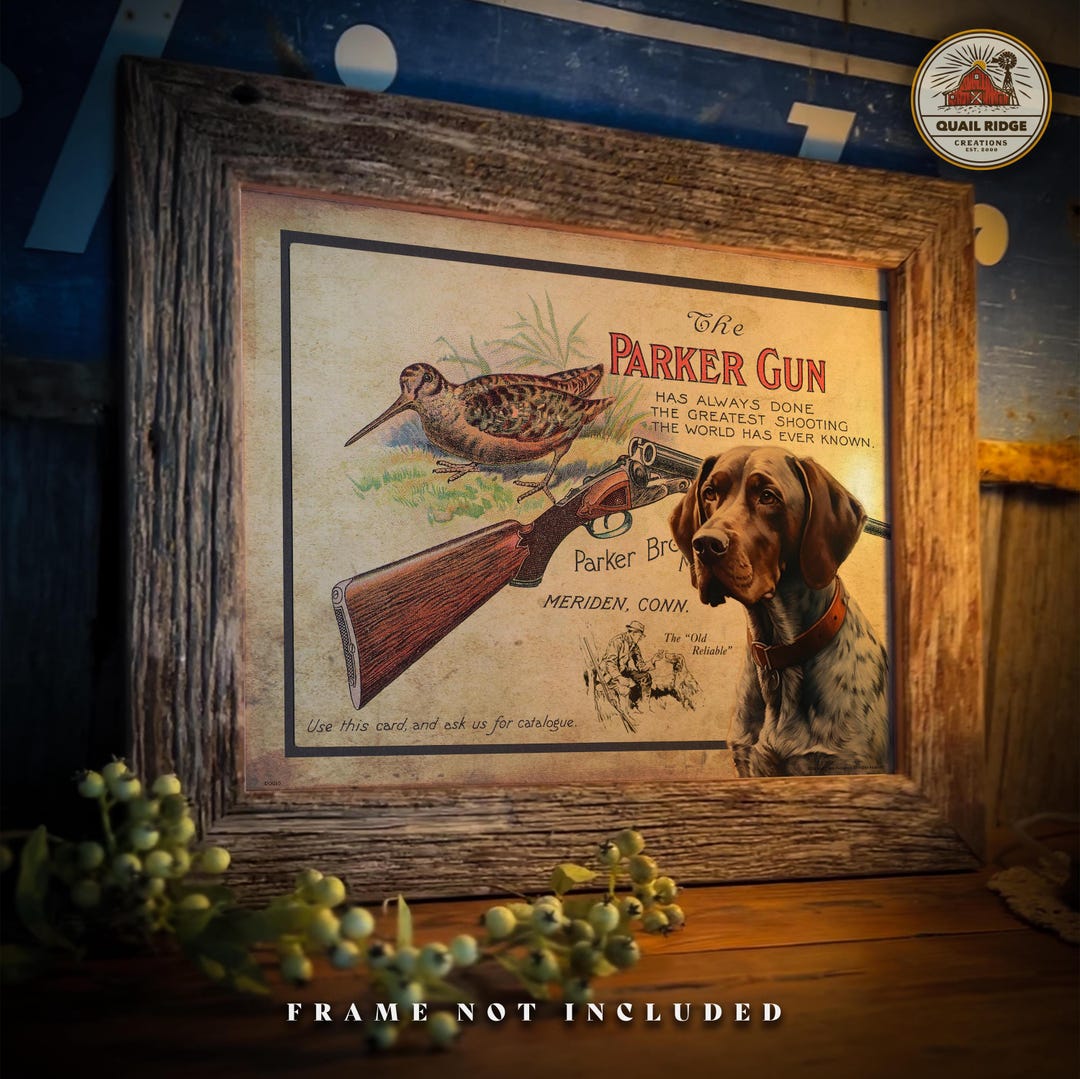 Vintage German Shorthair Hunting Dog Poster Art Print 11x14 Parker Gun ...