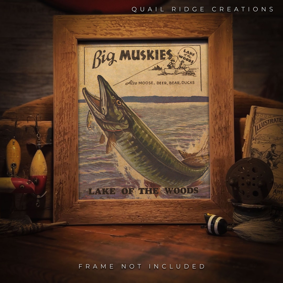 Vintage Big Muskie Fishing Lures Art Print: Lake of the Woods Decor - Etsy