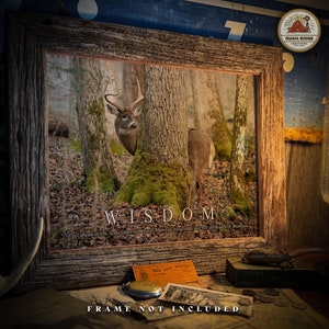 Whitetail Deer Art Motivational Poster Art Print 11x14 Unframed Deer ...