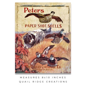 Vintage Peters Shotgun Shell Box Art Print 8x10 Unframed Quail Hunting ...