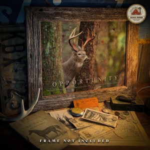 Whitetail Deer Art Motivational Poster Art Print 11x14 - Etsy