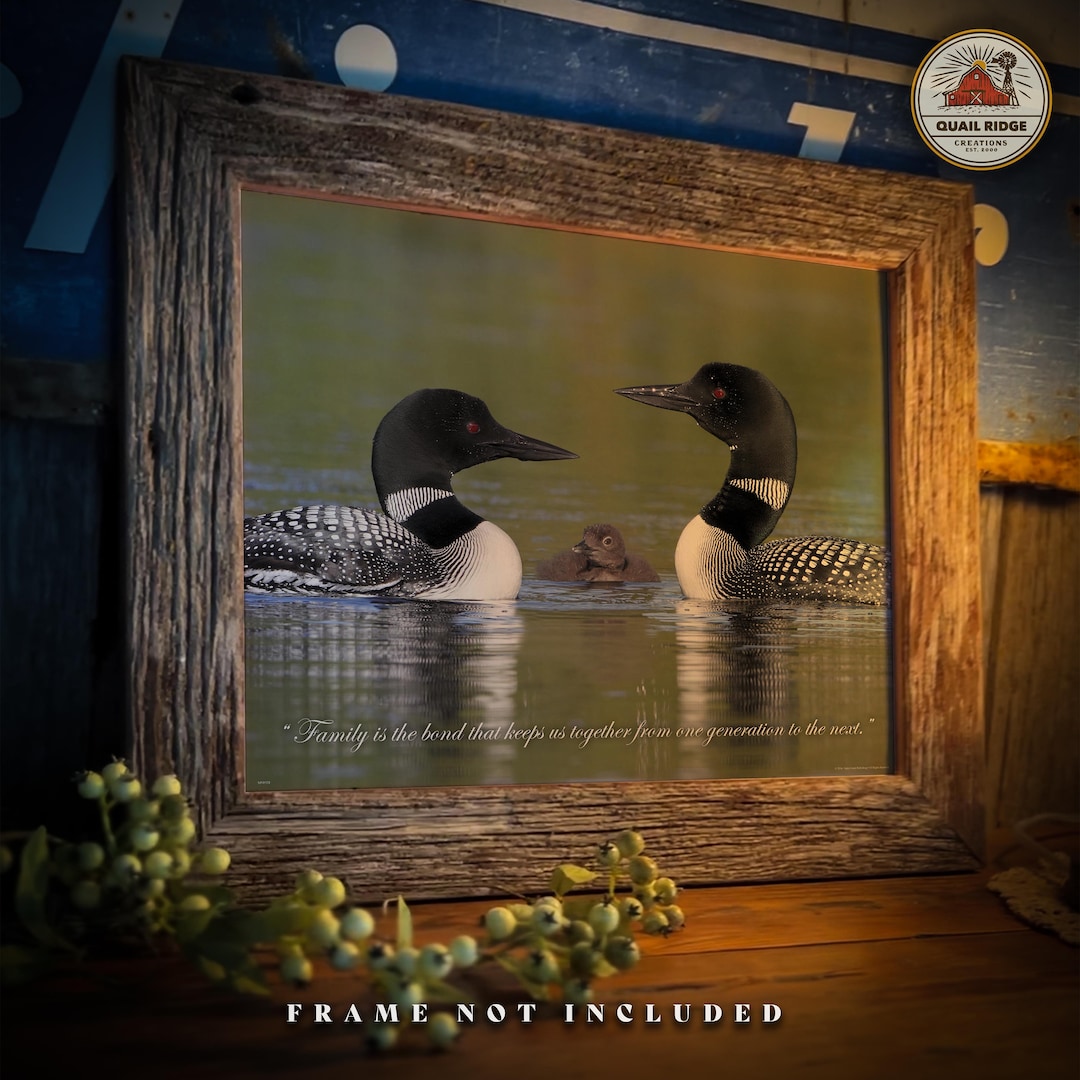 Common Loon Art Print Inspirational Poster 11x14 Unframed Loon Artwork ...