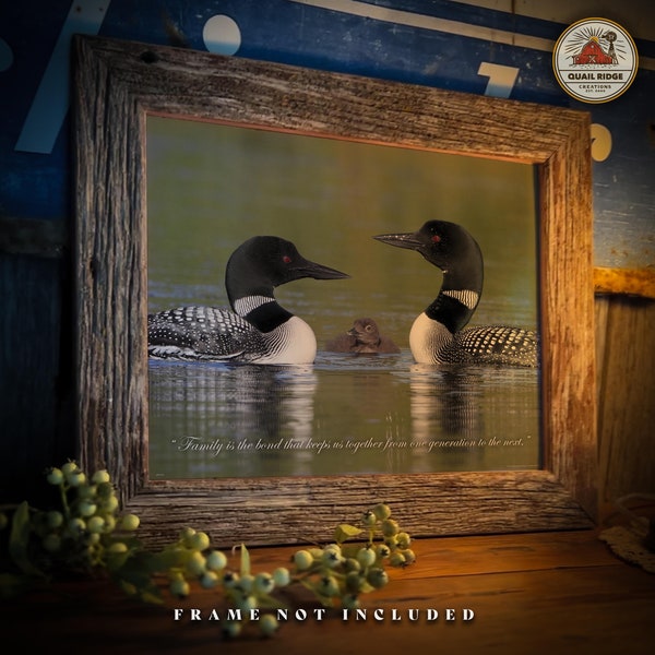 Common Loon Print - Etsy