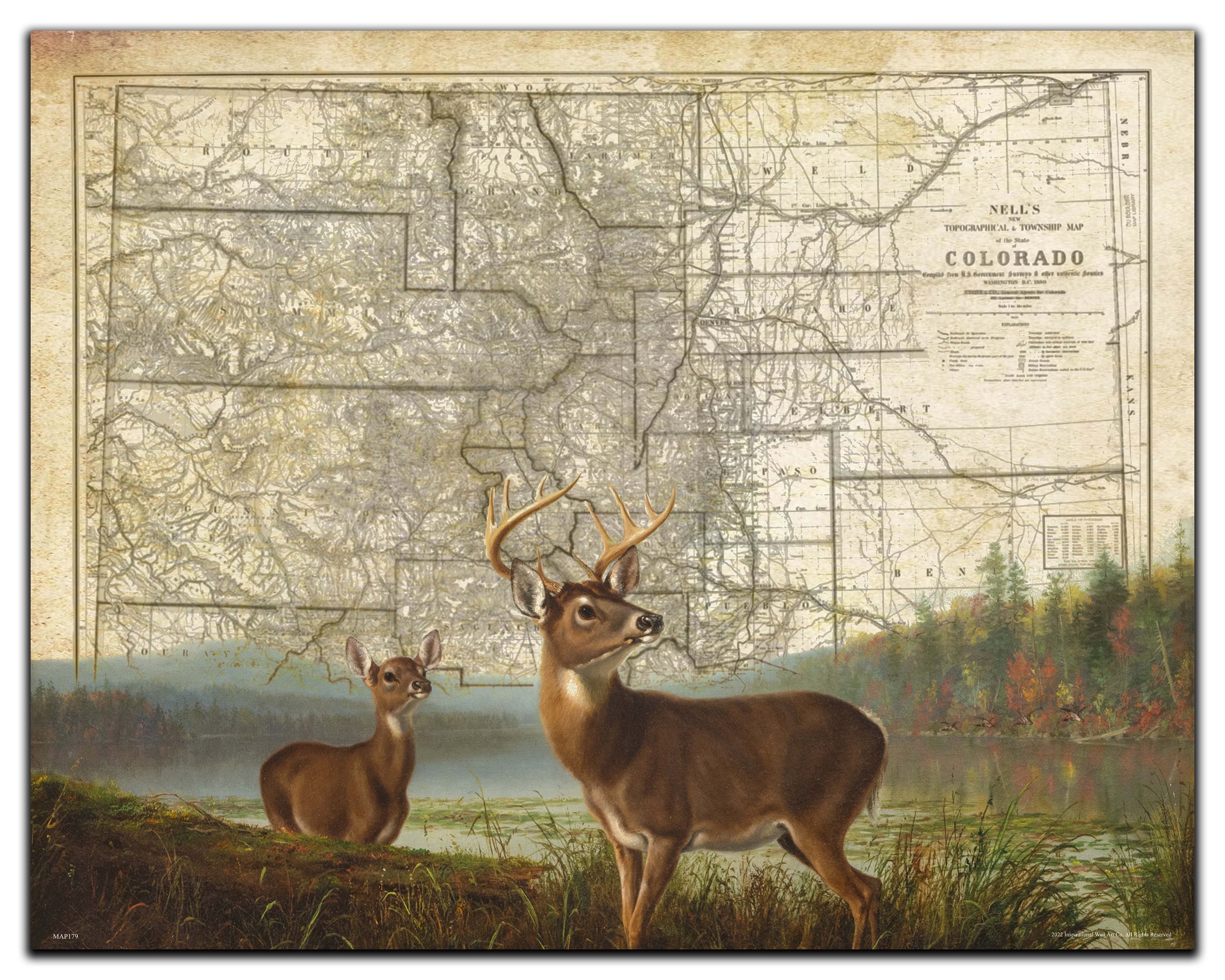 Vintage Colorado State Map Art Print 11X14 Unframed Wildlife - Etsy