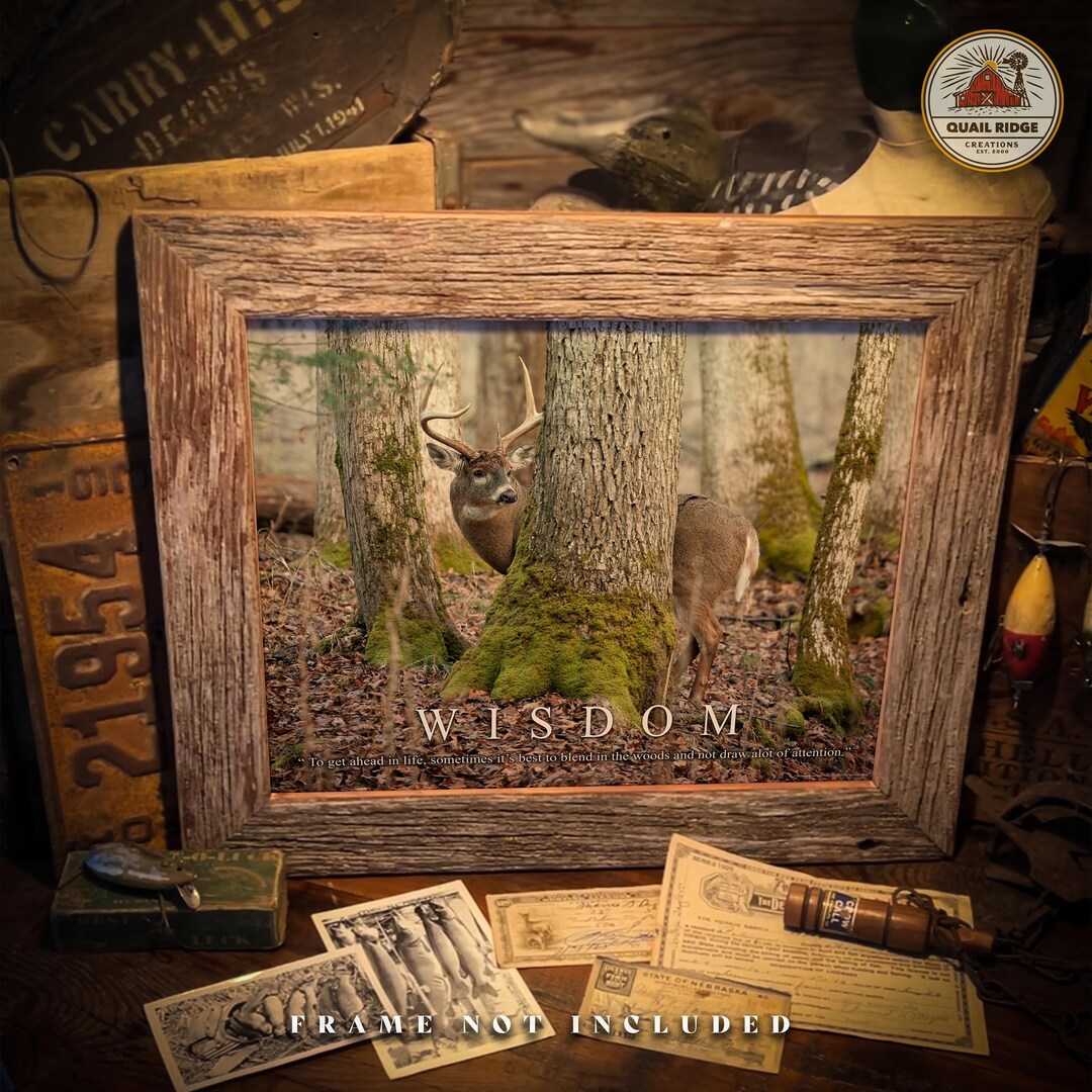 Whitetail Deer Art Motivational Poster Art Print 11x14 Unframed Deer ...