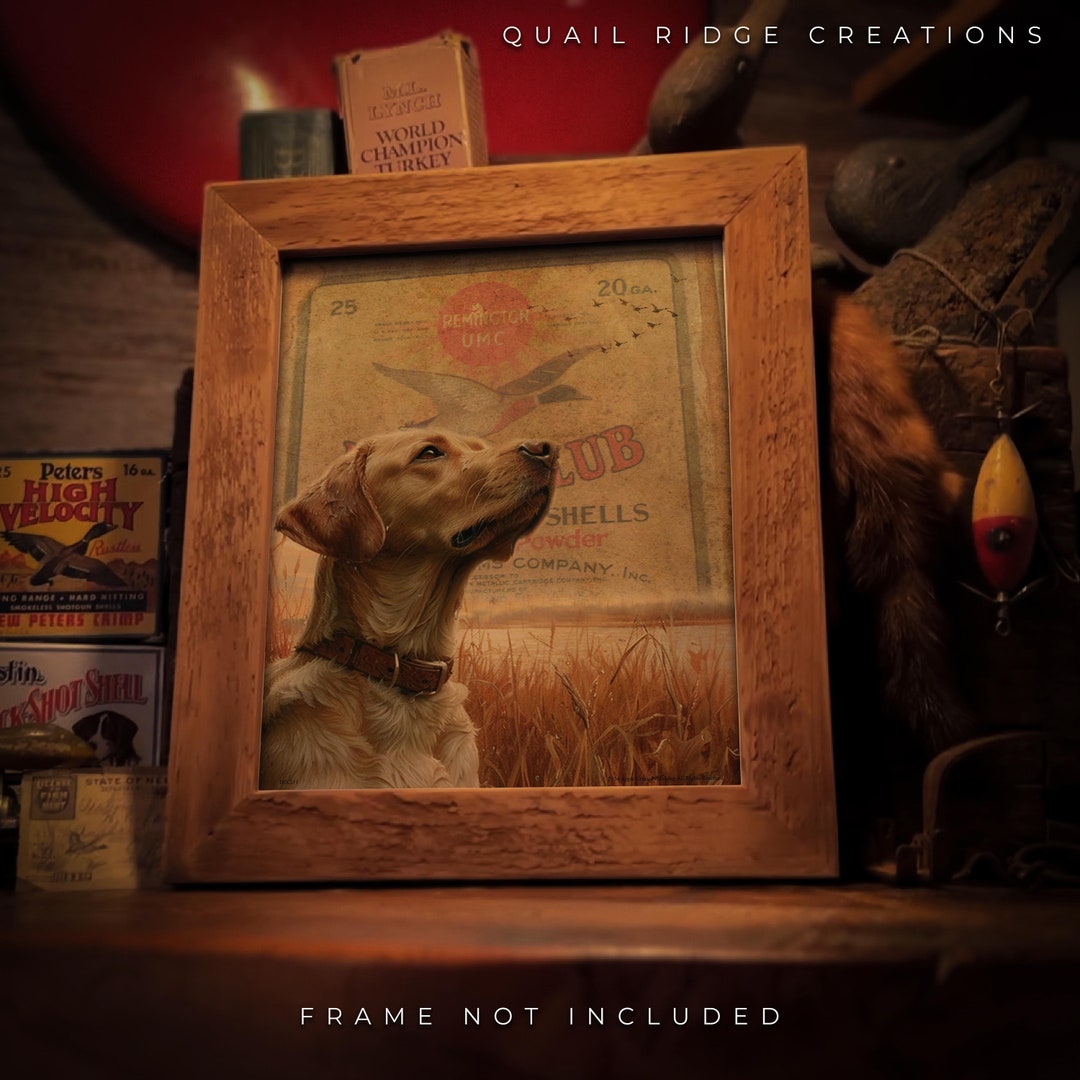 Vintage Yellow Lab Hunting Dog Art Print: Remington Shells Artwork - Etsy