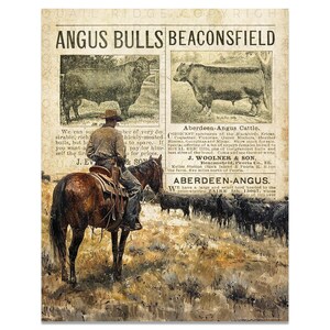 Vintage Black Angus Cattle Art Print: Western Ranch Decor (11x14 ...