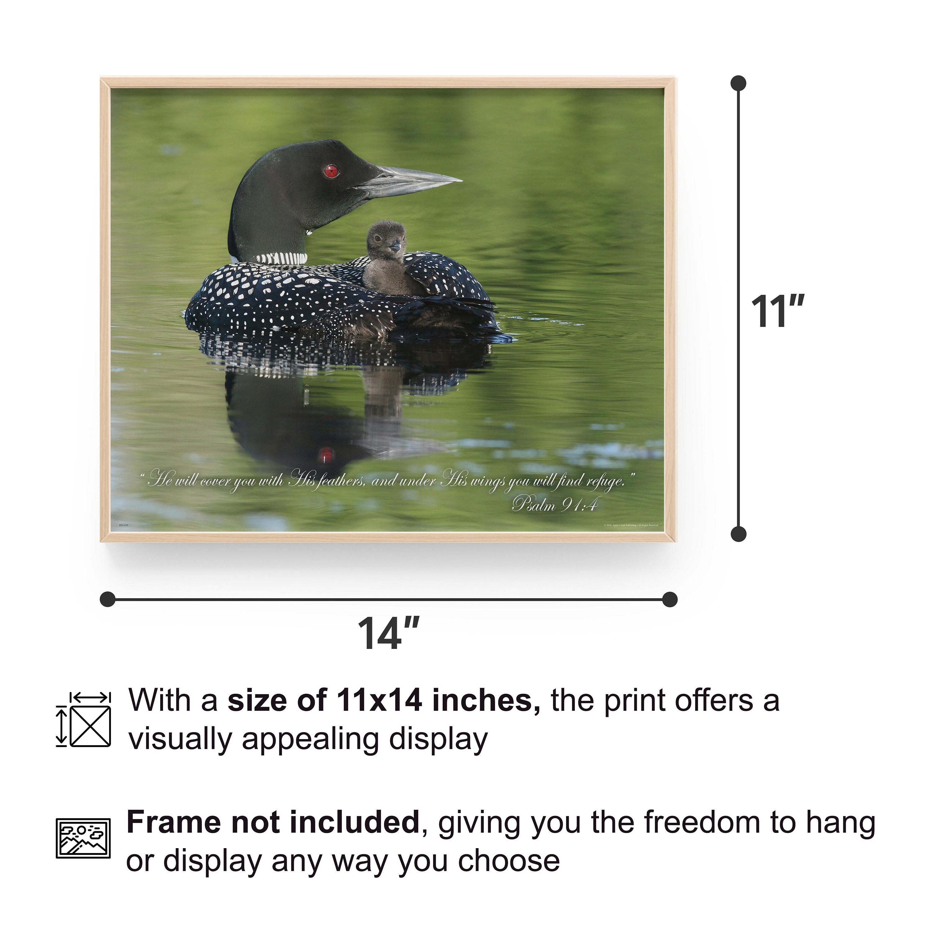 Common Loon Art Print 11x14 Unframed Wildlife Poster Religious Quote ...