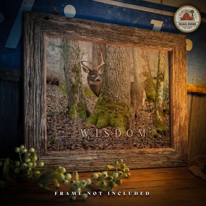 Whitetail Deer Art Motivational Poster Art Print 11x14 Unframed Deer ...