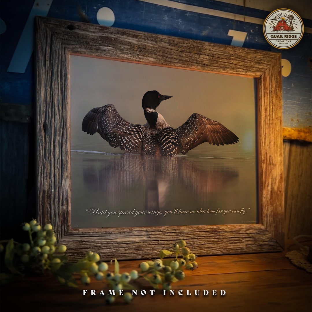 Common Loon Art Inspirational Poster 11x14 Unframed Loon Artwork ...